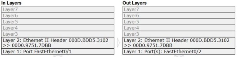 Network Ping Command Explained command - Network Bachelor Network Ping Command Explained command - Network Bachelor